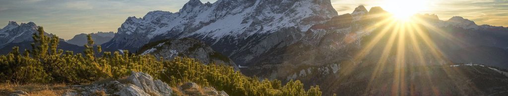 Home - Peak Male Physique Blog